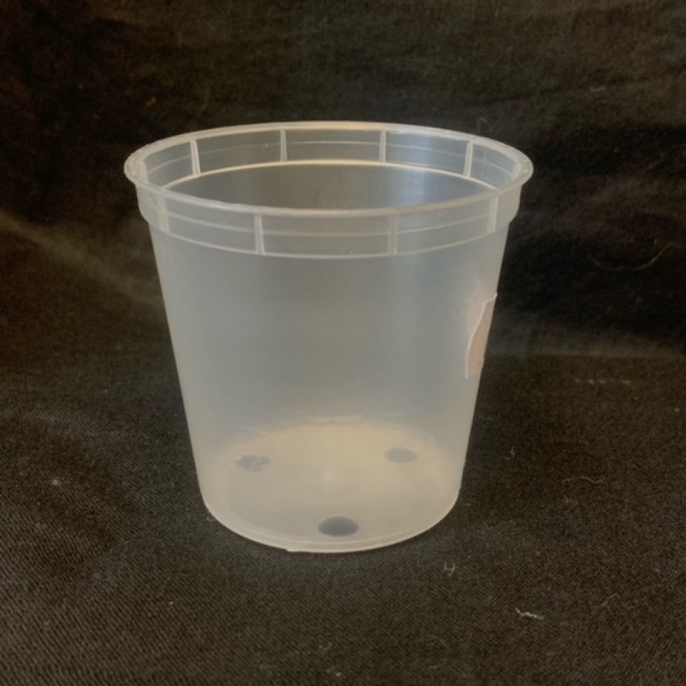 Clear Pot - 6cm