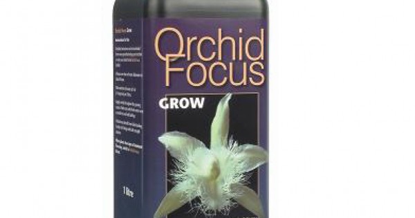 Orchid Focus 'Grow'